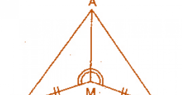 You have to show that ∆AMP ≅ ∆AMQ. In the following proof, supply the ...