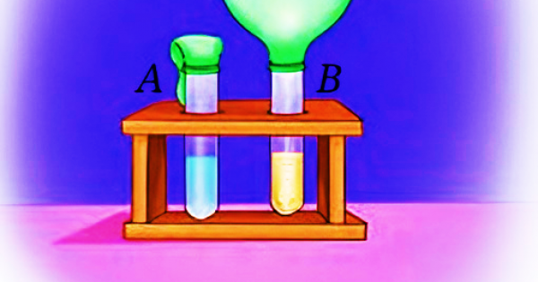Aanandi took two test tubes and marked them A and B. She put two ...